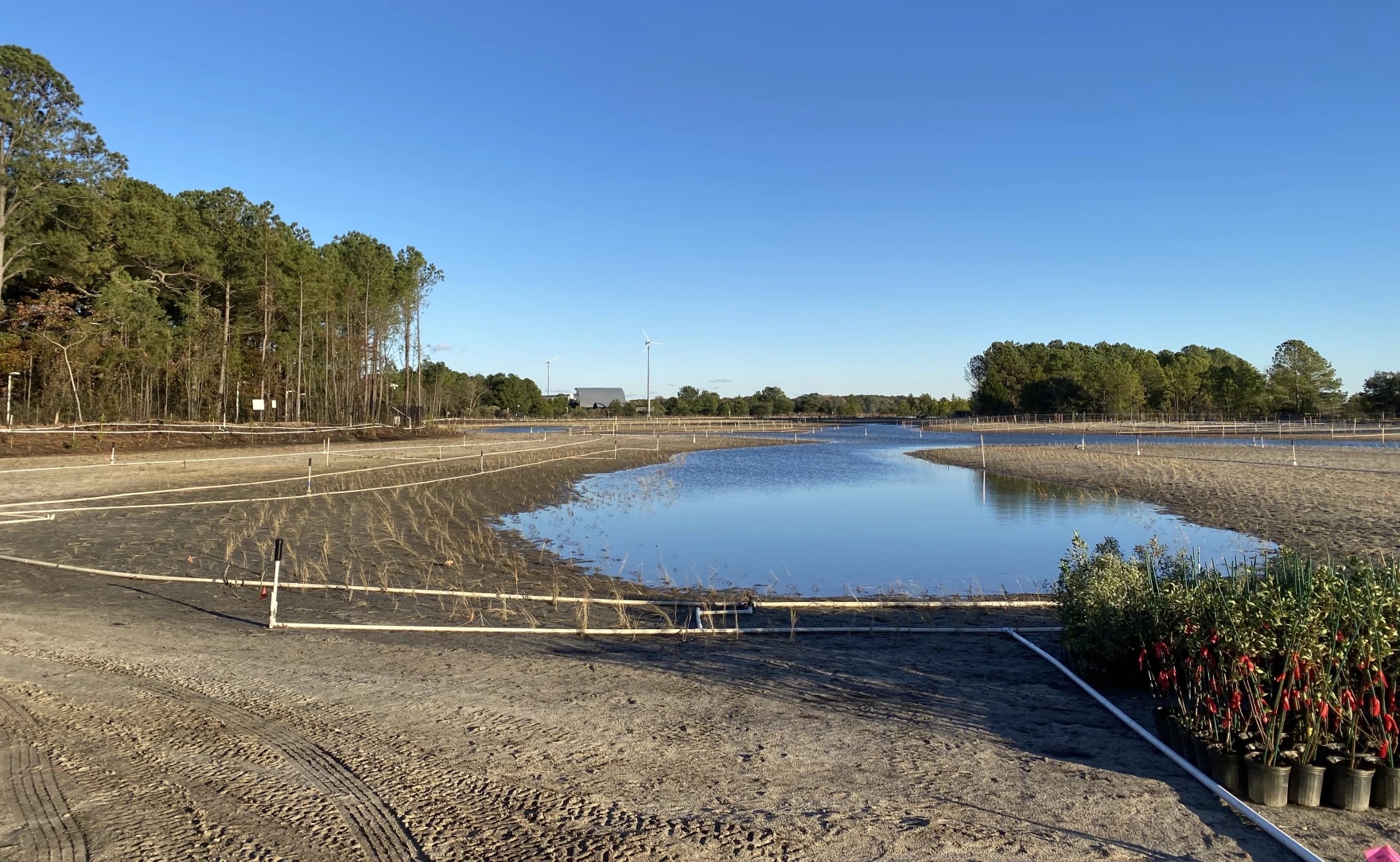 “Virginia Beach citizens sue Army Corps over wetlands project that ...